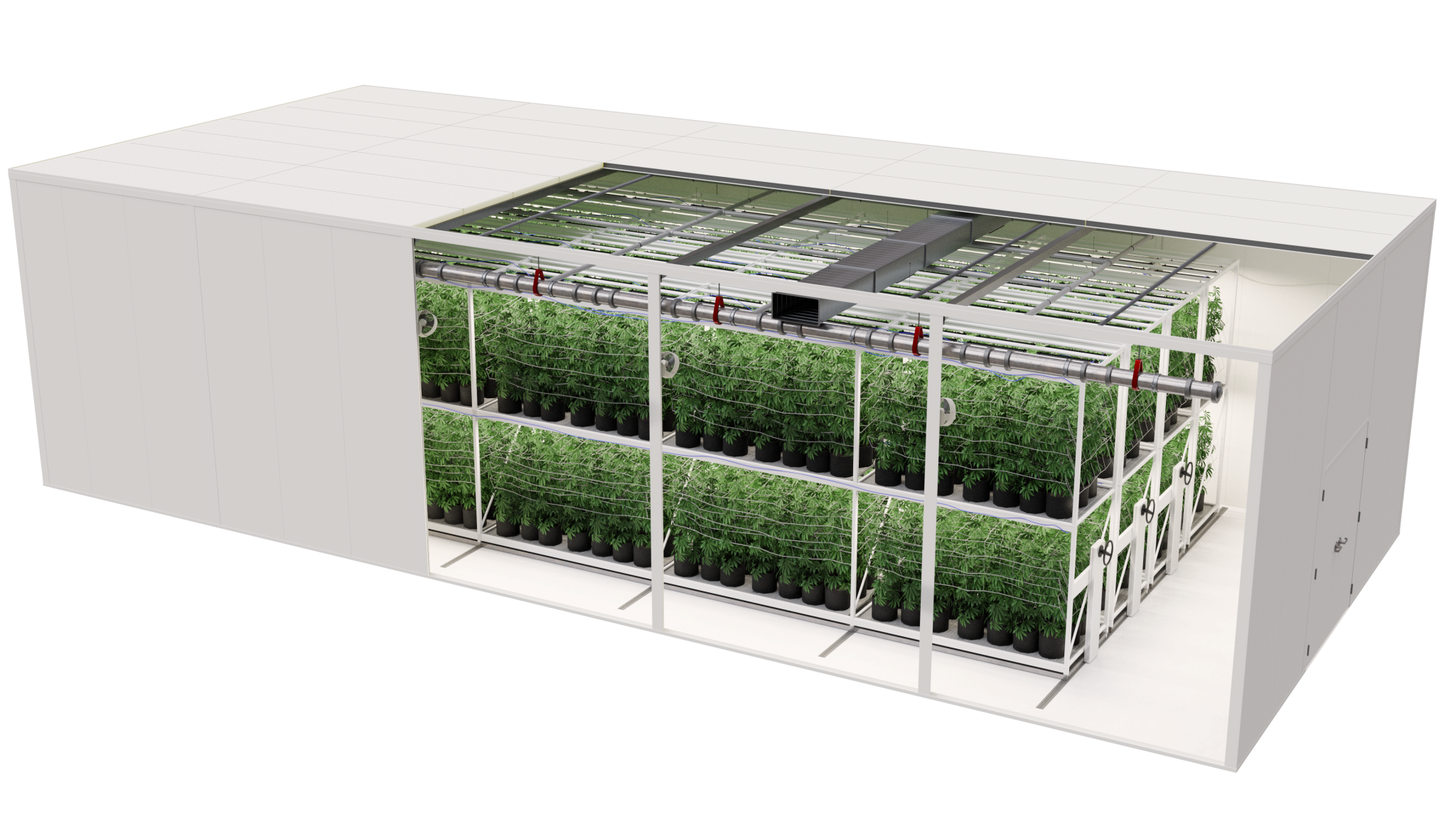 Custom Grow Rooms for Optimal Plant Growth | Starrco