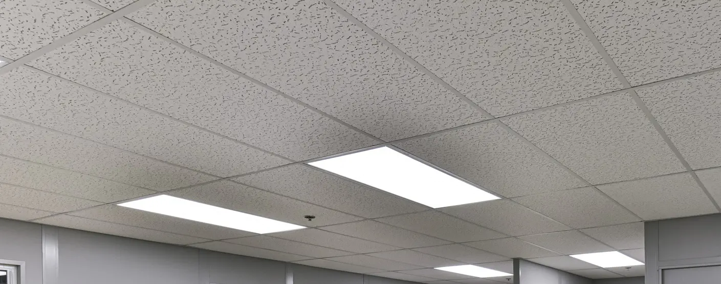 Suspended Ceiling Panel Systems